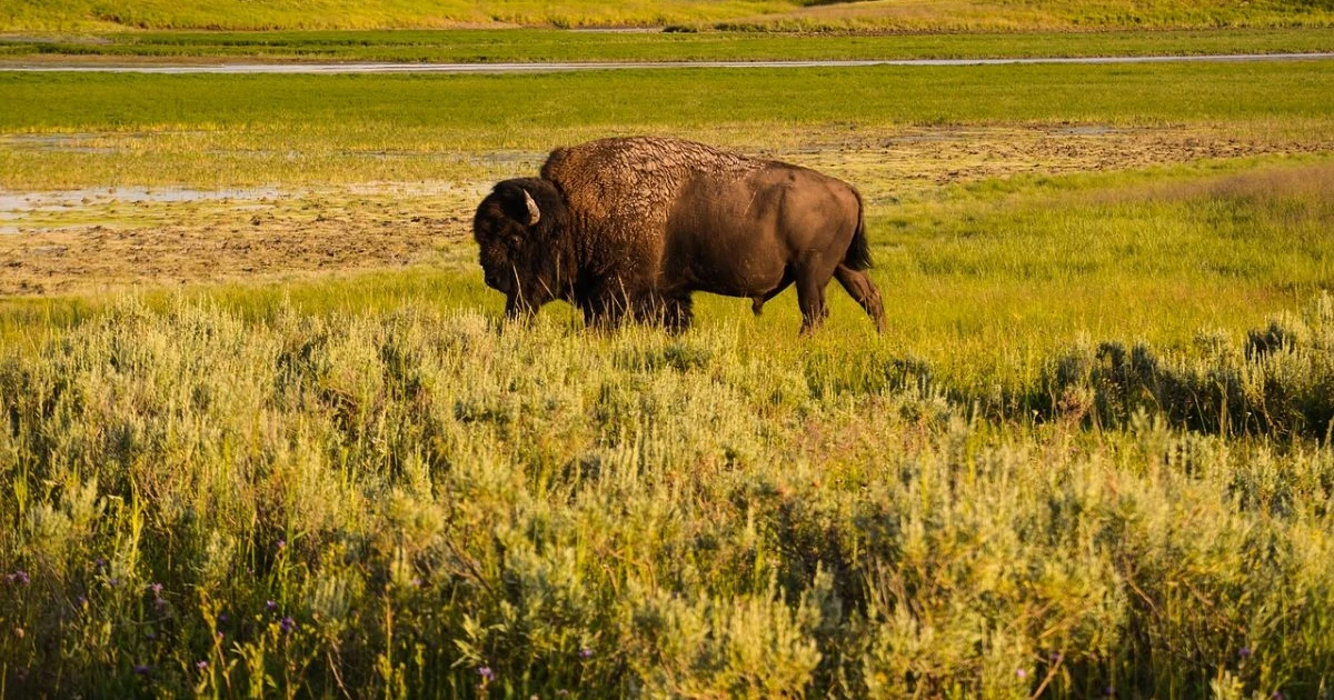 The Great Plains - A Traveler's Guide