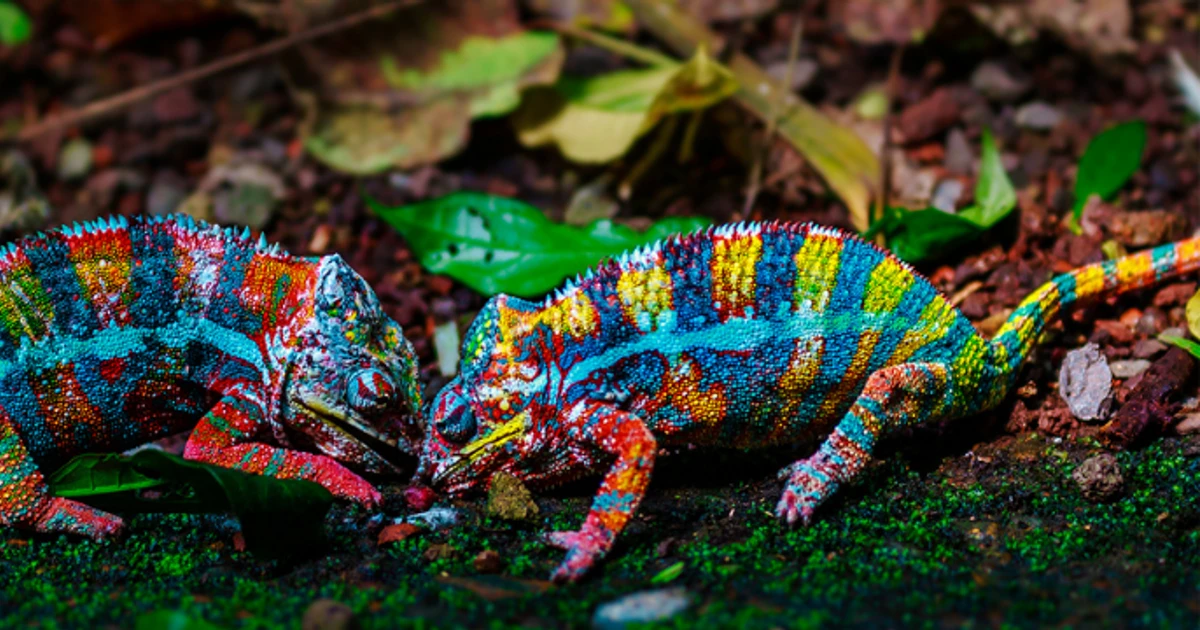 The Most Exotic Places To Travel To In 2024