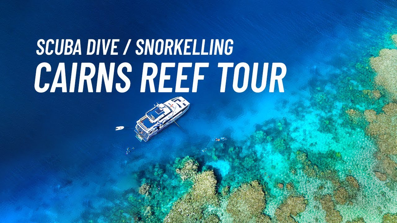 Scuba Diving In The Great Barrier Reef | 13 Best Dive Sites