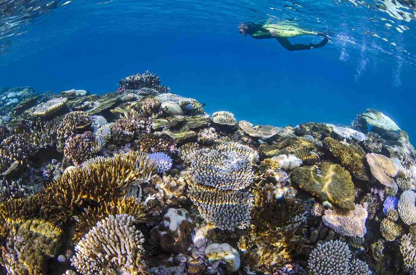 Things To Do In Bimini - Top 25 Activities For Fun And Relaxation