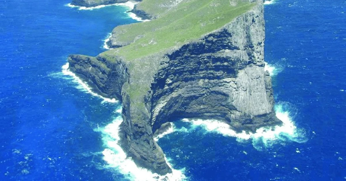 7 Key Facts About Nihoa’s Unique Wildlife