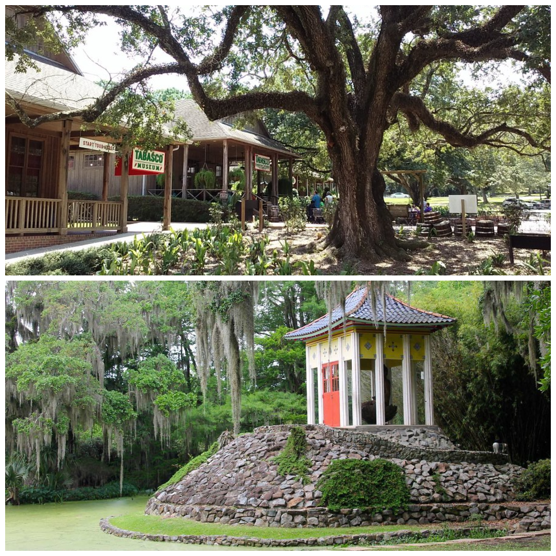 What Is Louisiana Famous For? 28 Iconic Traditions & Attractions