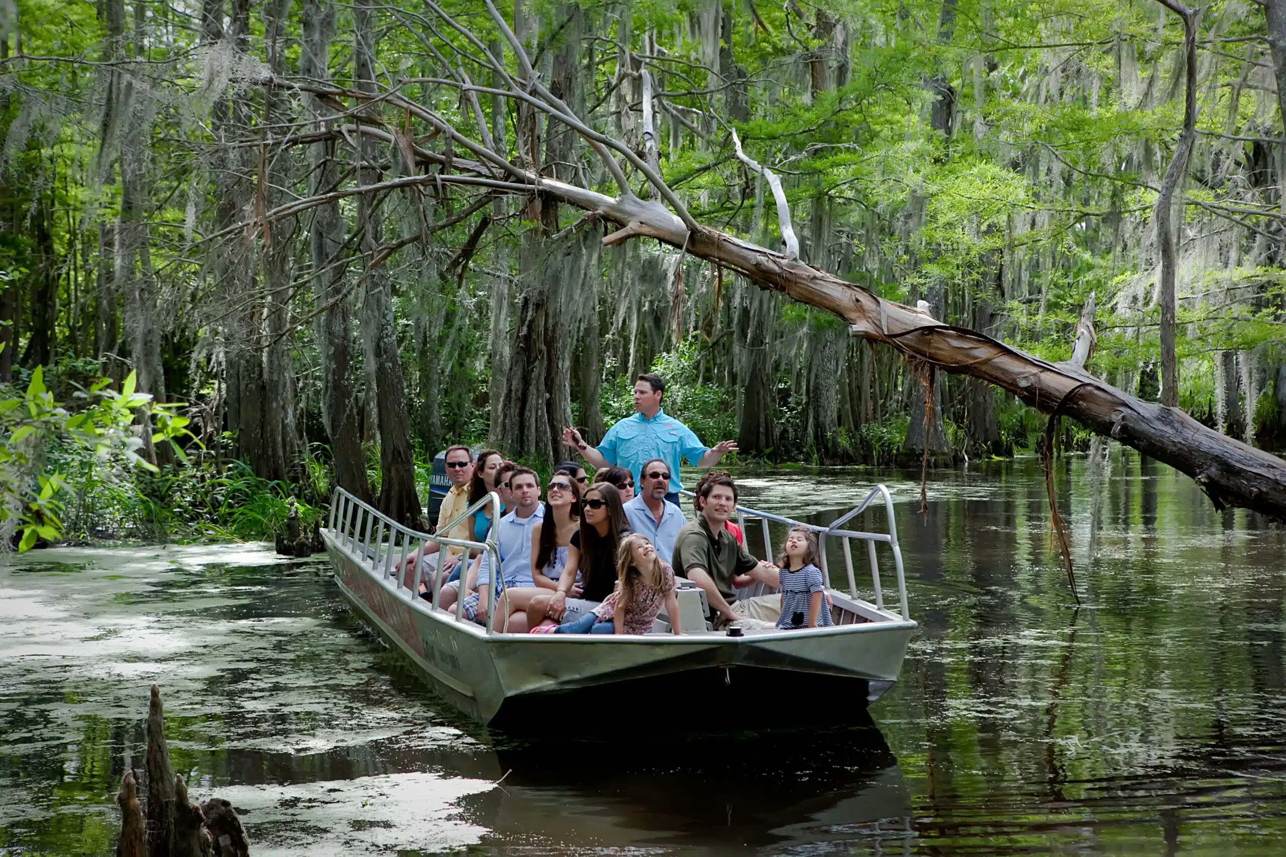 What Is Louisiana Famous For? 28 Iconic Traditions & Attractions