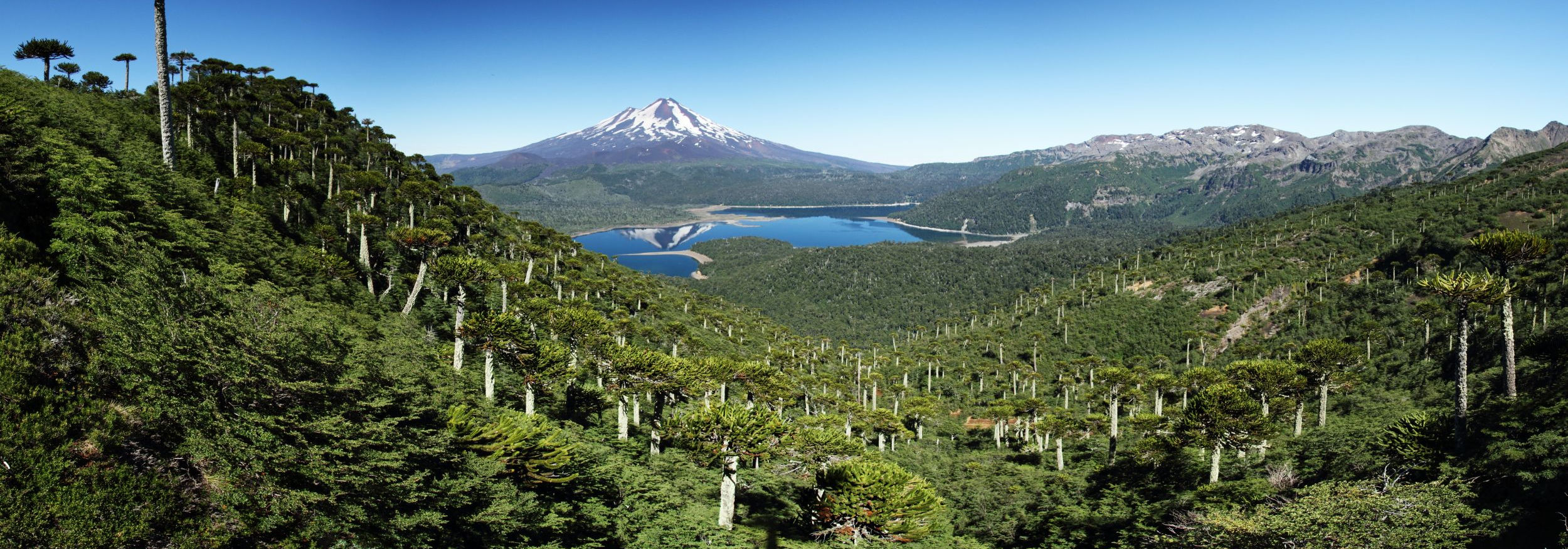 40 Stunning Chile Pictures Landscapes Wildlife Culture 40 Stunning Chile Pictures Landscapes Wildlife Culture